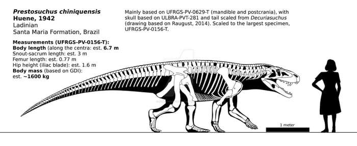 Triassic Crocodiles