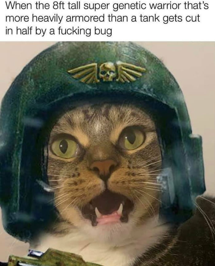 Much imperium, very xenos - 9GAG