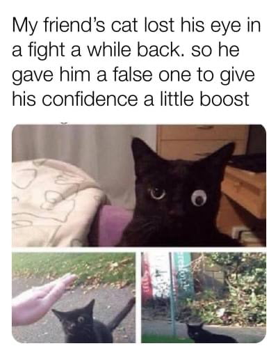 Is No Confidence Better Than False Confidence? - 9GAG