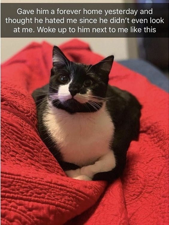 He felt real bad - 9GAG