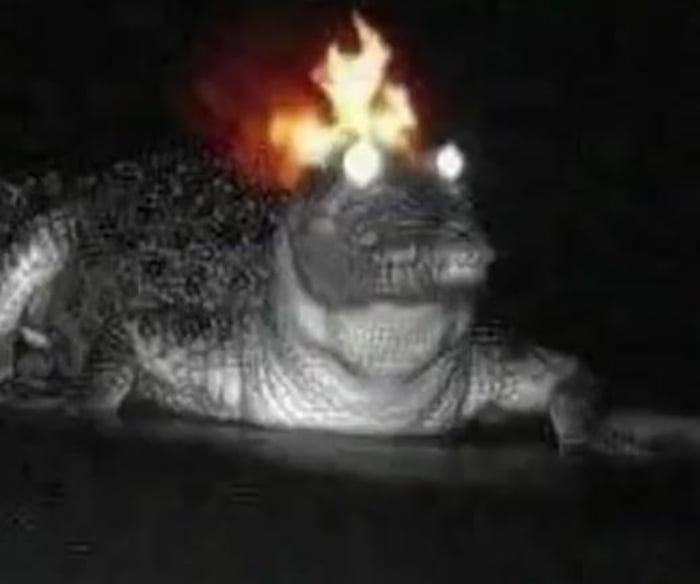 Reptilo, King of Reptiles, Lord of Cinder. - 9GAG