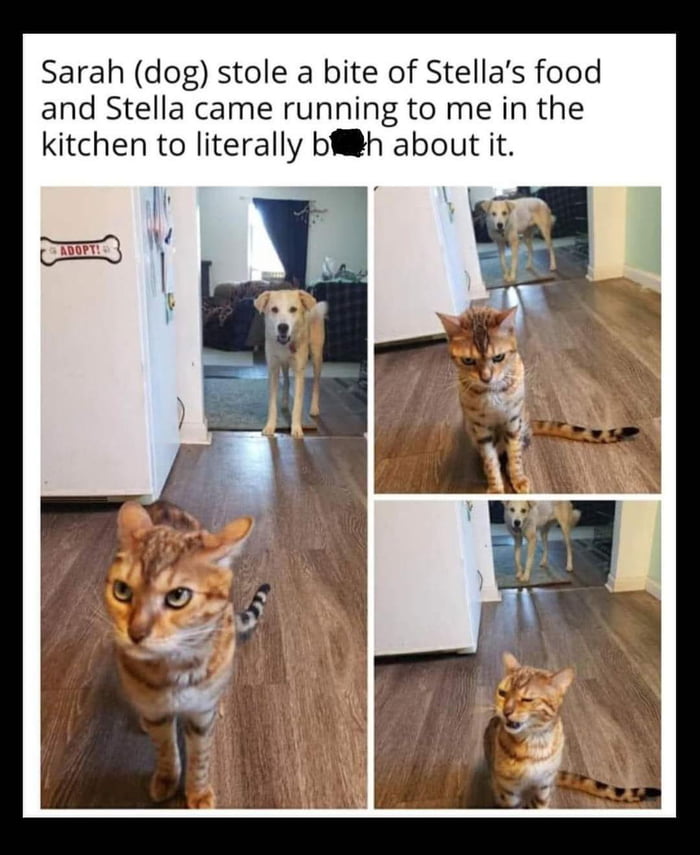 Mom 9gag