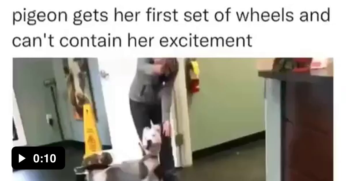 It's the small things that count - 9GAG