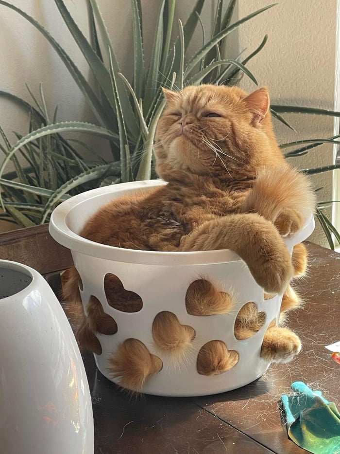 Gary just wants you to know you're doing a good job and he's proud of ...