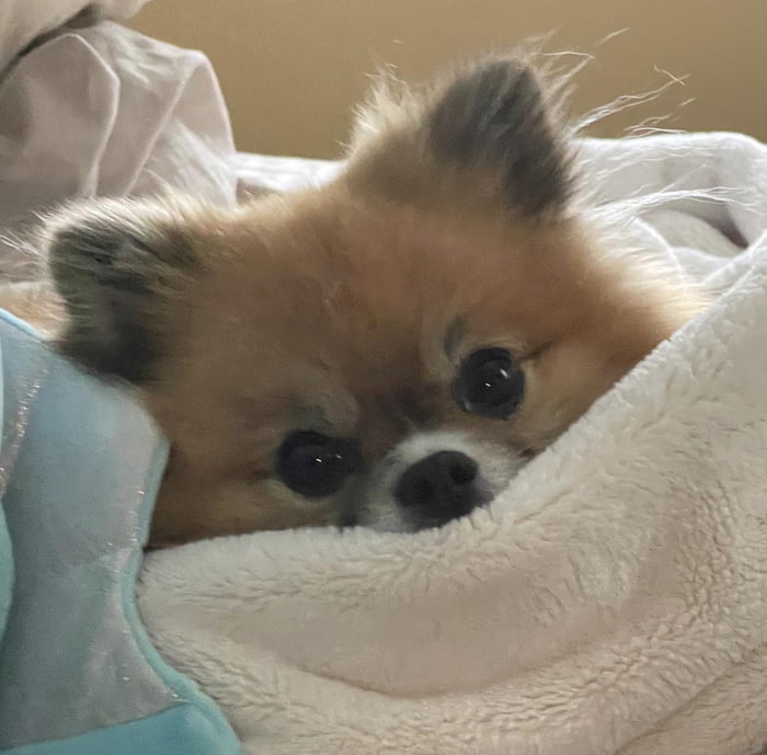 Whatcha doin over there? - 9GAG