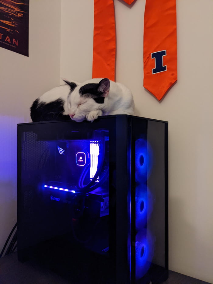 Radiator on top = cat magnet - 9GAG