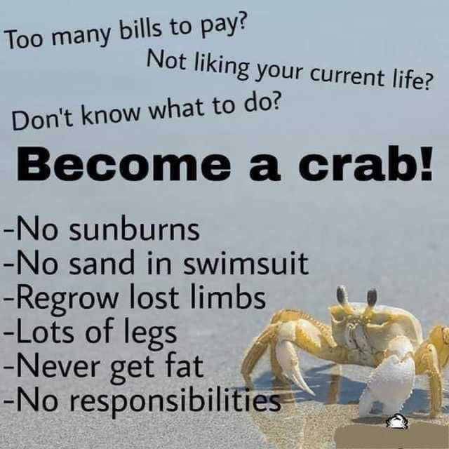 Become a crab - 9GAG