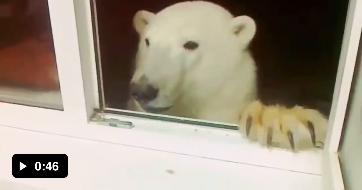 Window snacks - 9GAG