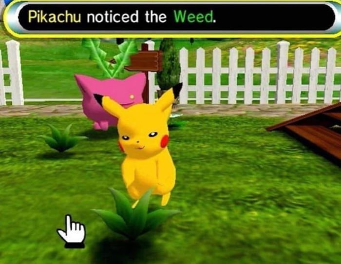 Pikachu used "Calm Mind" - 9GAG