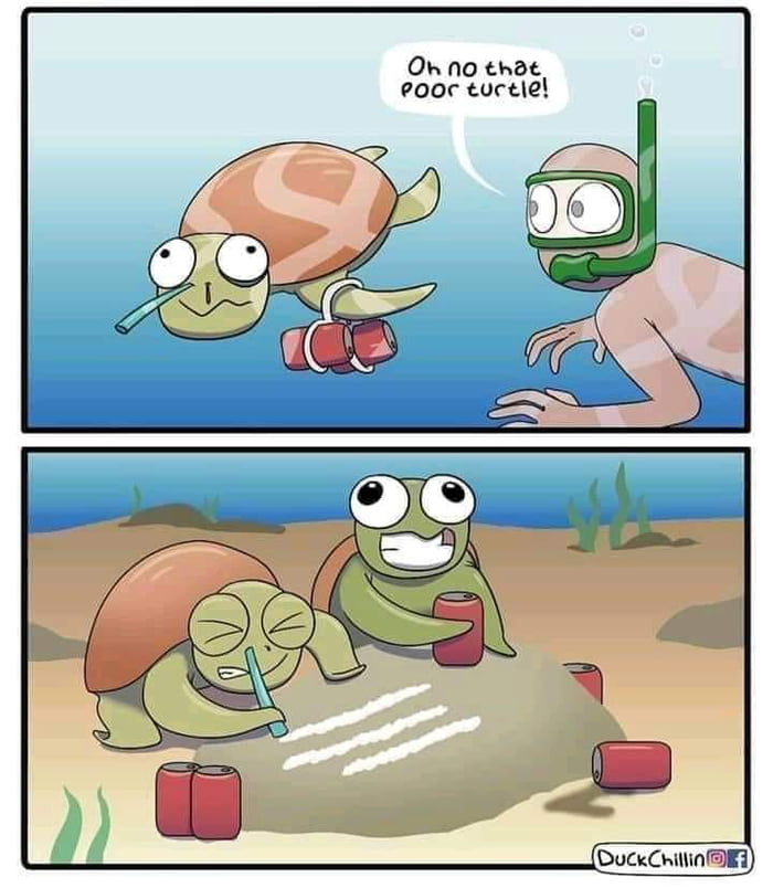 Poor turtle - 9GAG