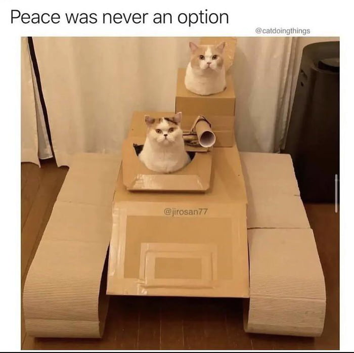 Catank, the obliterater of laser pointers - 9GAG