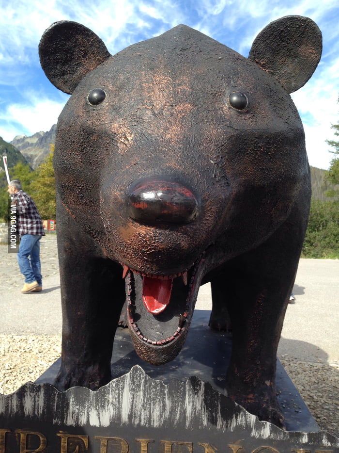 HERP DERP BEAR - 9GAG