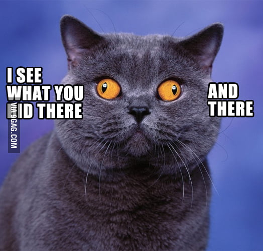 It's called exotropia. Cat still cute. - 9GAG