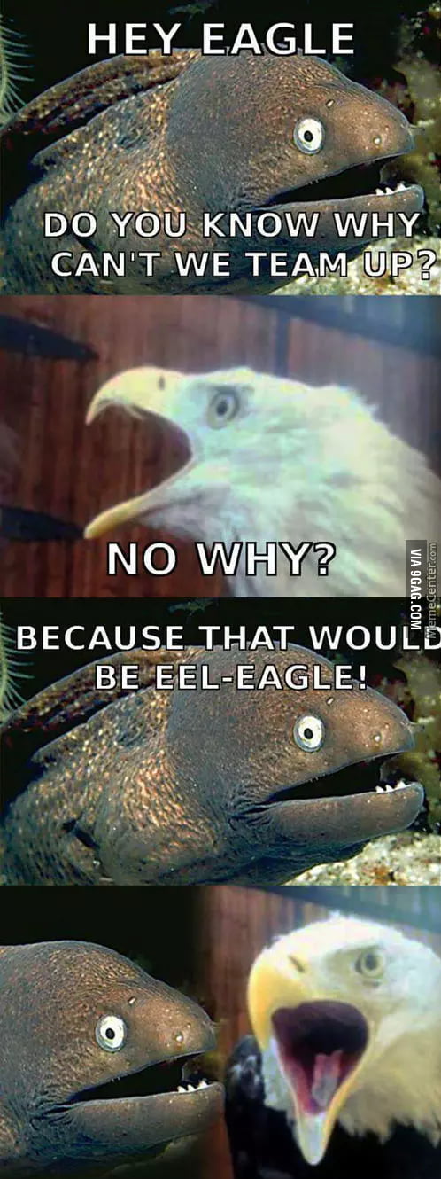 EEL-EAGLE - 9GAG