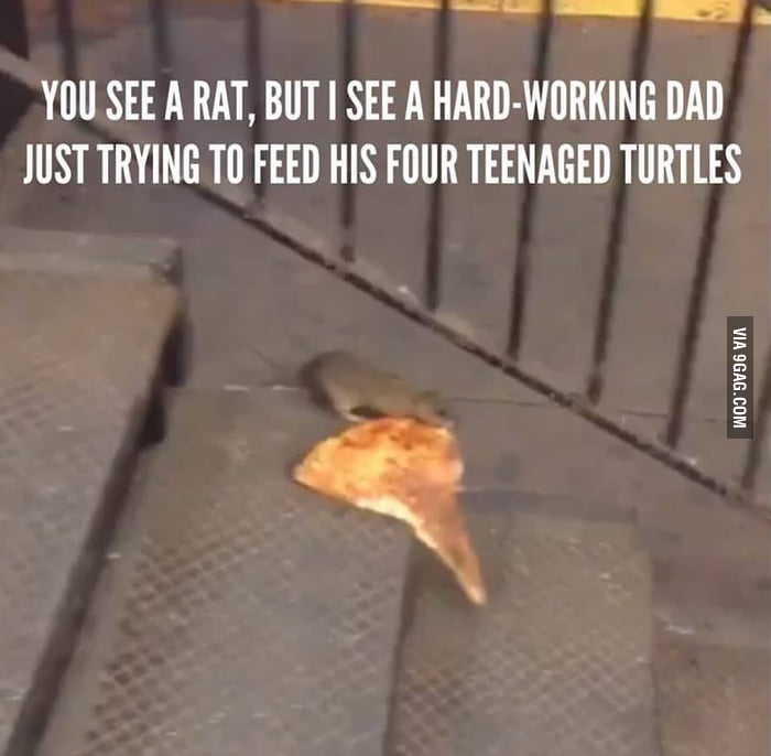 Its All About Pov 9gag 0906