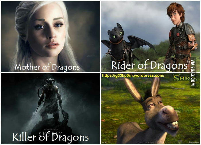 Dragon...... Tamer? - 9GAG