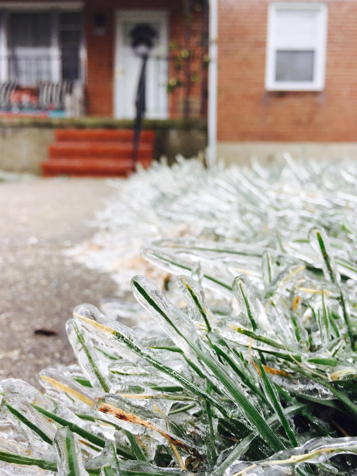 Icy grass outside my home this afternoon. - 9GAG