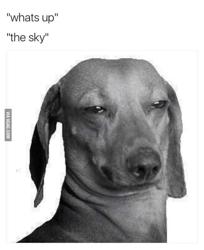 Va Fa Napoli. - 9GAG