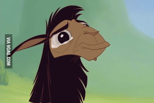 THIS is the most uderrated Disney movie. No... Don't cry Kuzco Lama. - 9GAG