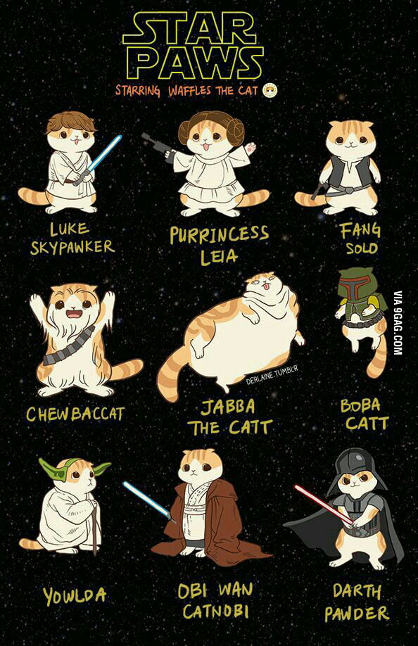 Star Paws - 9GAG