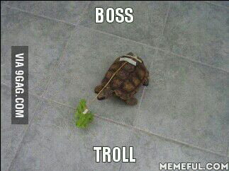 Boss troll - 9GAG
