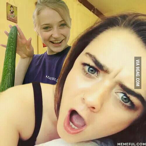 Sansa Arya What Are You Doing 9gag