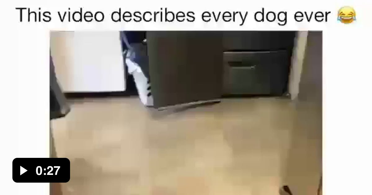 They’re so predictable - 9GAG