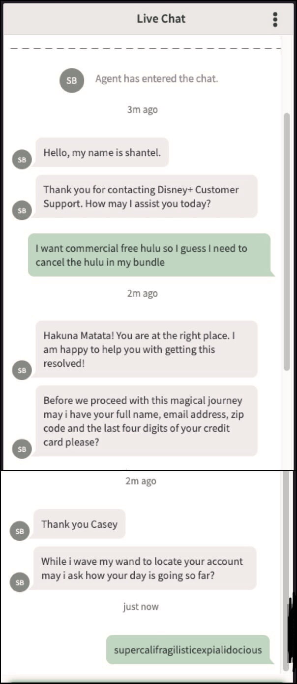 Disney+ customer service reps take their job seriously. - 9GAG