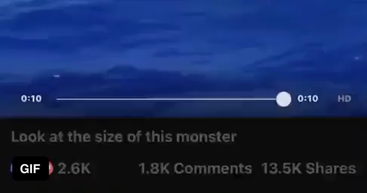 This absolute unit - 9GAG