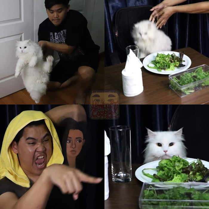 Low cost cosplay cat meme! - 9GAG