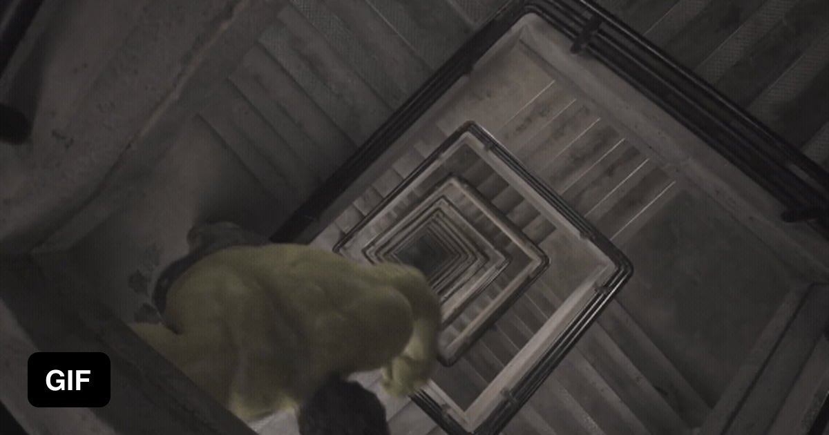 When the elevator is broken - 9GAG