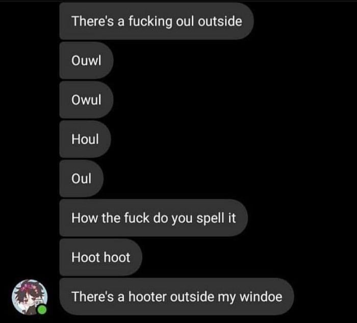 What a hoot - 9GAG