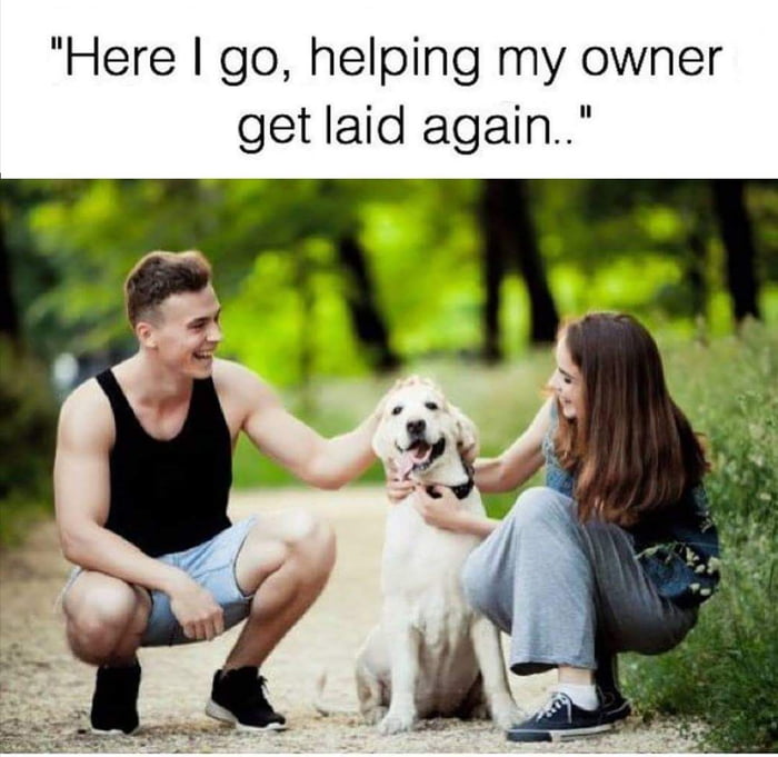 He is a good boy - 9GAG