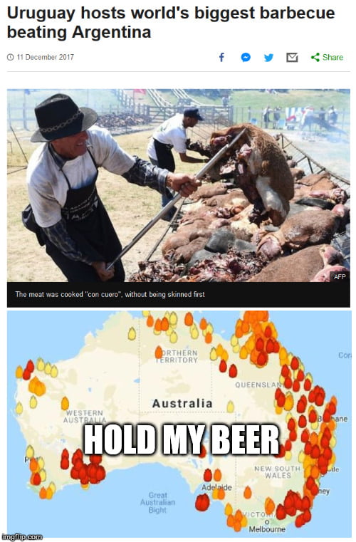 Noice BBQ mate! - 9GAG