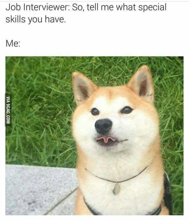 Hire Doge - 9GAG