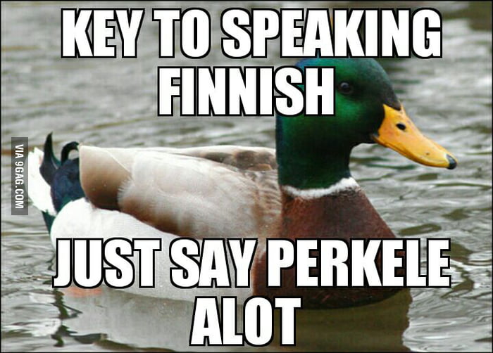 TRUE!!!!!!!!!!!! PERKELE - 9GAG