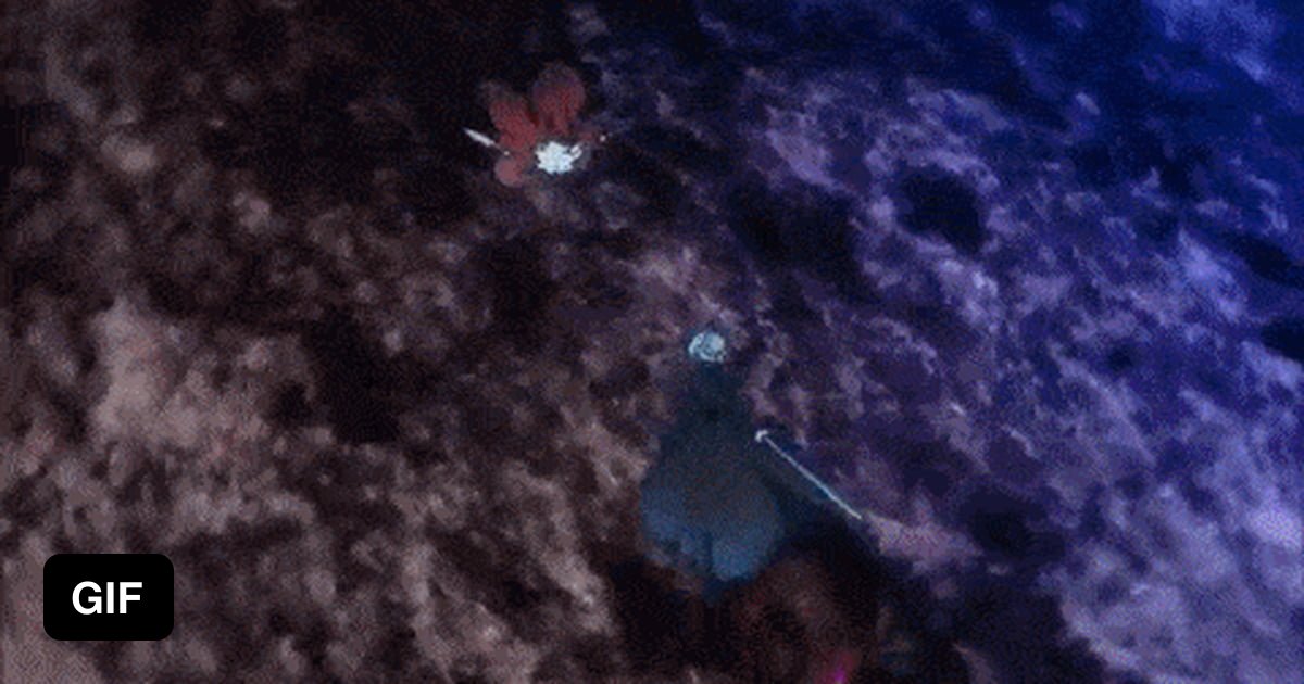 Archer Illya vs Saber Alter Anime: Fate Kaleid Liner Prisma Illya - 9GAG