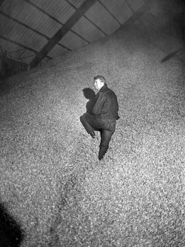 Jimmy Carter stands in a pile of peanuts at the Carter family peanut ...