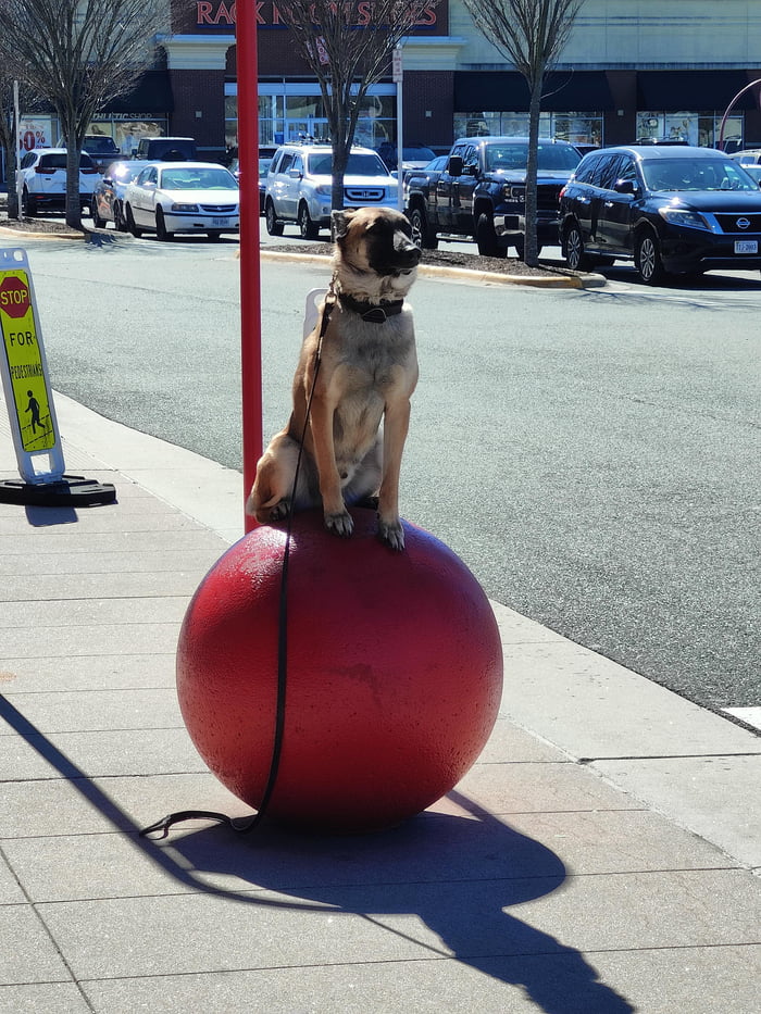 So that's what the Target balls are for - 9GAG