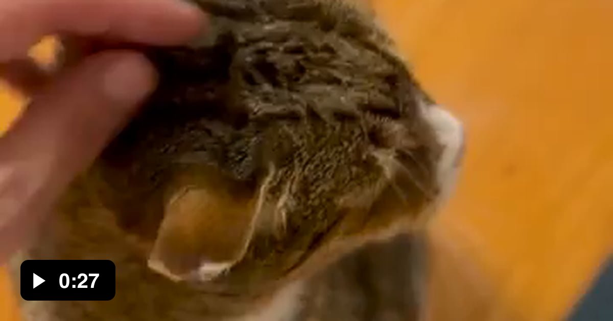 My girl giving tip taps - 9GAG