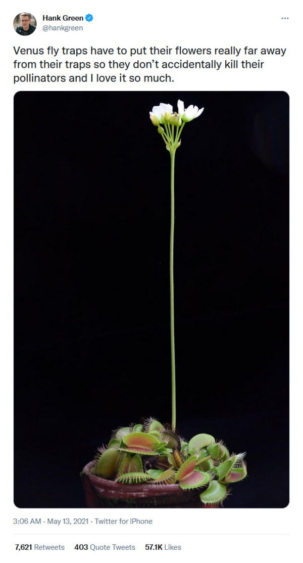 Venus fly trap - 9GAG