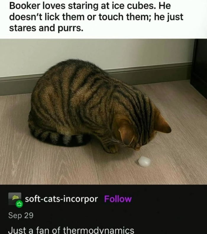 Booker the Ice Cube Connoisseur - 9GAG