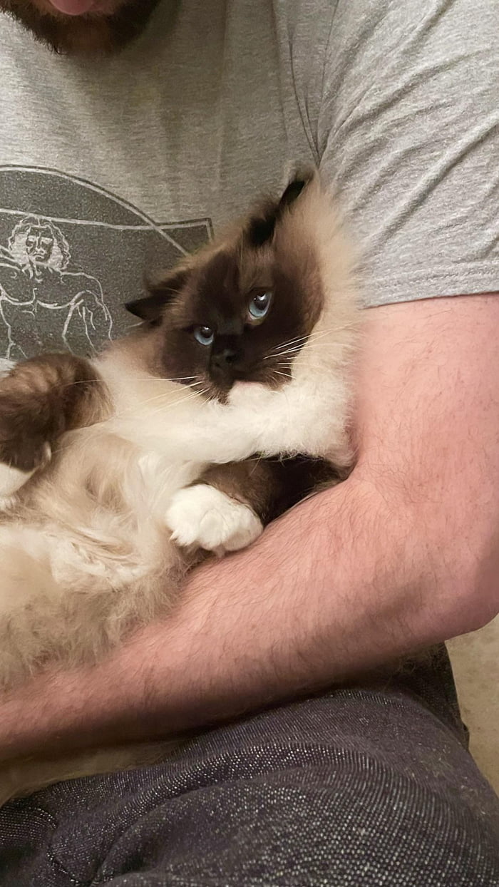 LOOK at that little face!!!!! - 9GAG