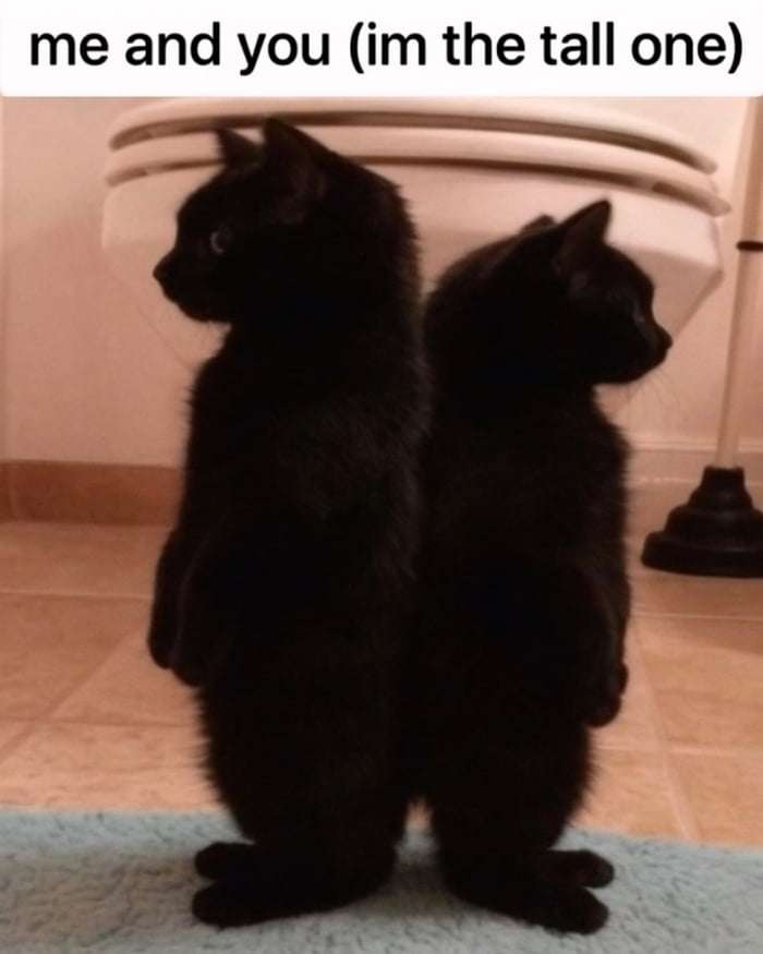 When one inch makes all the difference - 9GAG