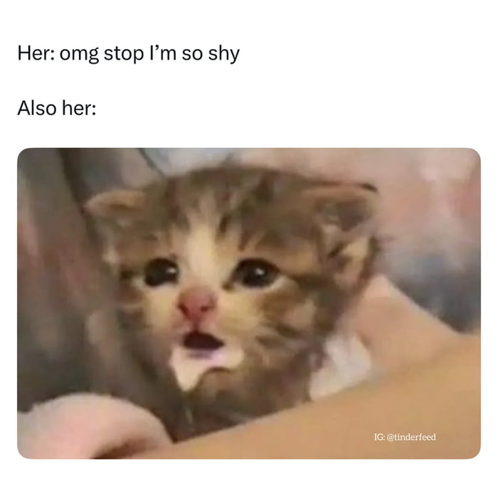 When they say they're shy but then... - 9GAG