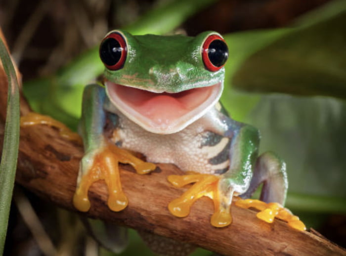 If day == wednesday print("It's wednesday, my dudes.") - 9GAG