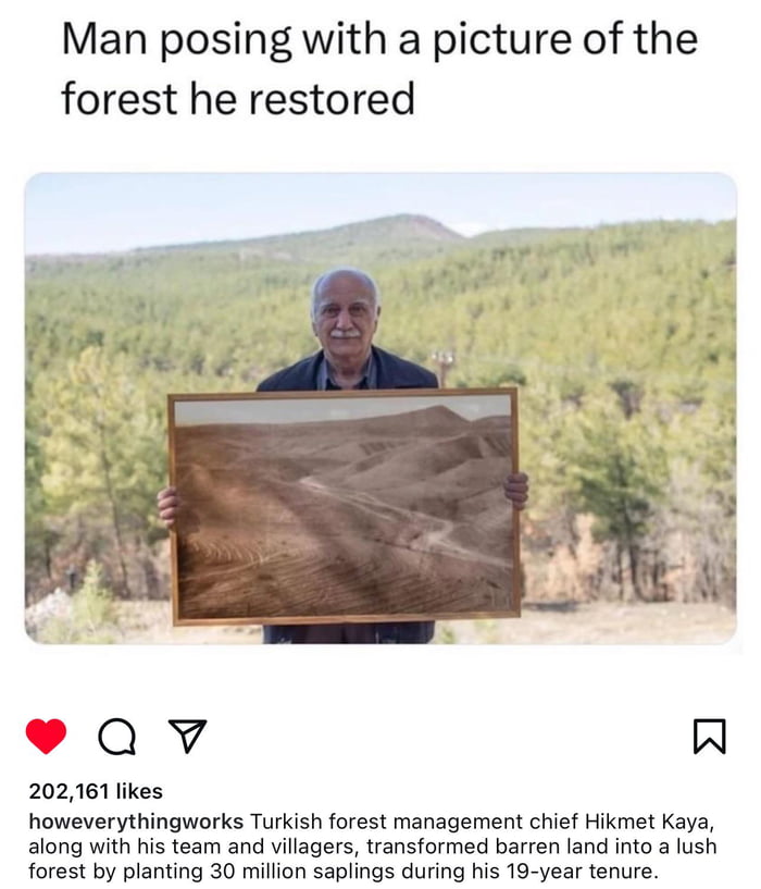 Forest restored - 9GAG