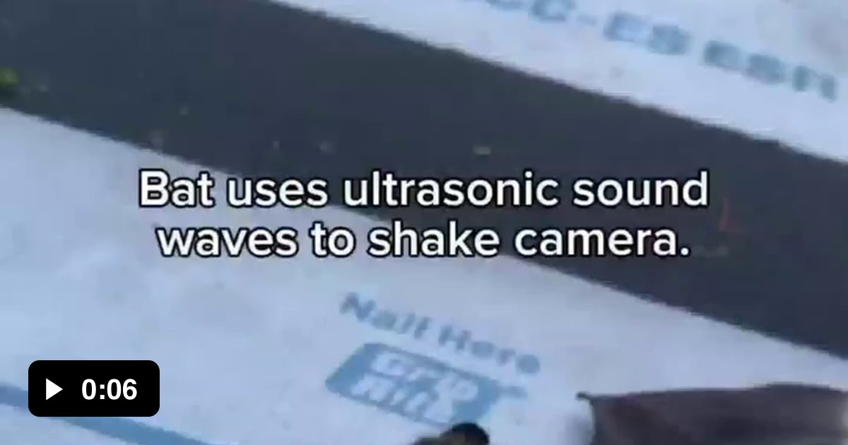 Bat uses ultrasonic sound waves to shake camera - 9GAG