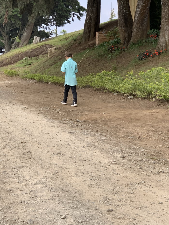 Its the law, find a perfect stick, carry the stick! - 9GAG