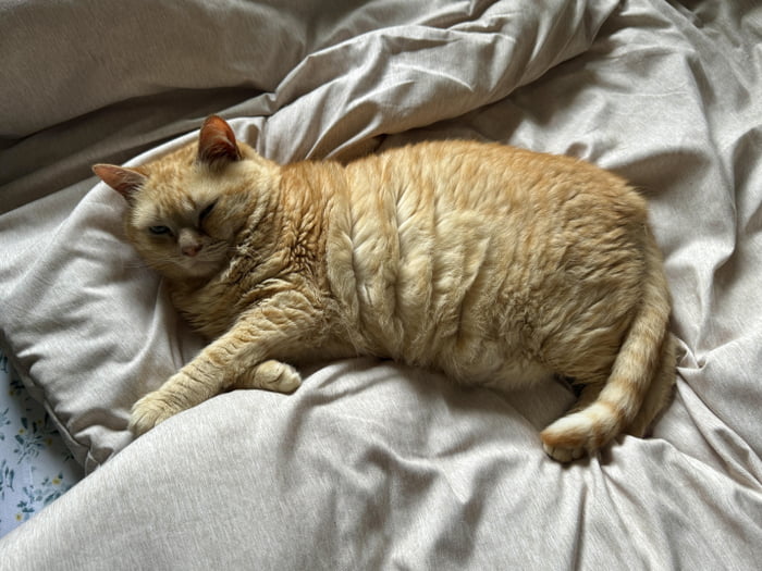 My Ruffley Boy - 9GAG